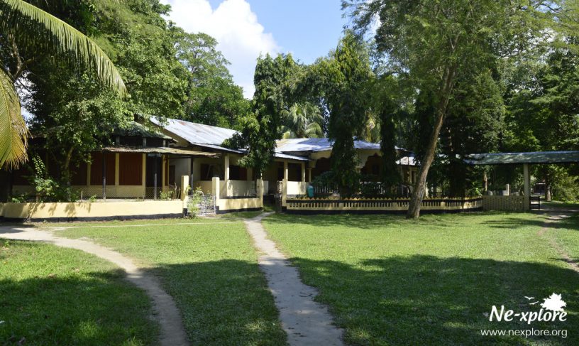 Picture journey through India's only island district Majuli - Nexplore ...