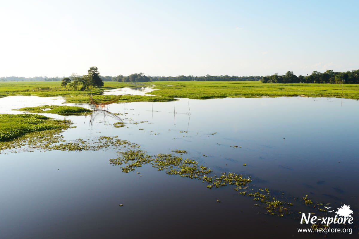 How to spend a day in world’s largest river island Majuli - Nexplore Travel