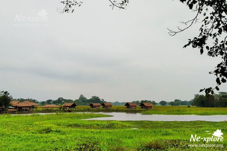 Majuli travel guide - Nexplore Travel