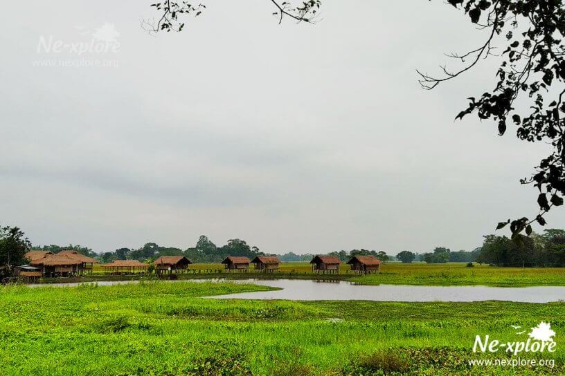 How to spend a day in world’s largest river island Majuli - Nexplore Travel