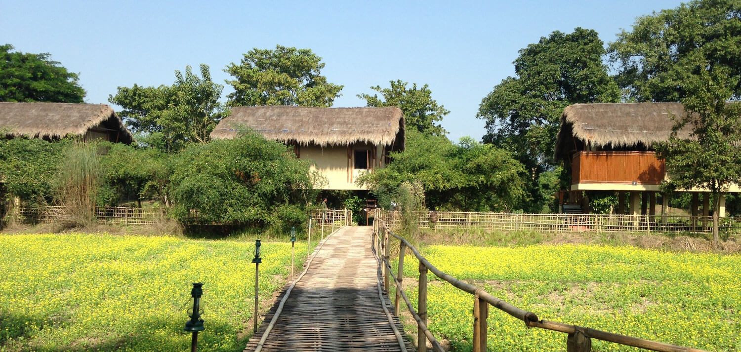 Top best resorts in Kaziranga - a comprehensive review - Nexplore Travel