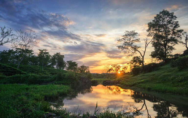 12 Must-Visit Places in Assam You Should Add to Your Travel Itinerary ...