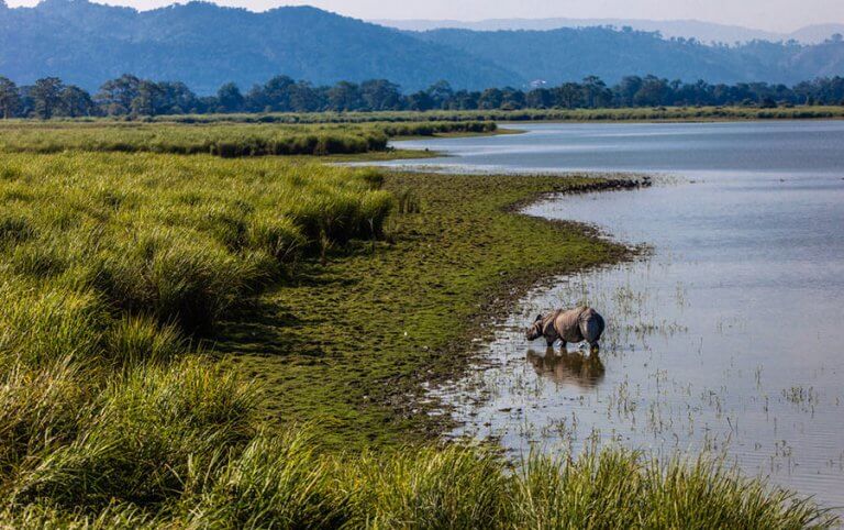 Top 12 places to visit in Assam - Nexplore Travel