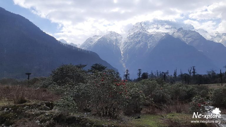 The Ultimate North Sikkim Bucket List: 10 Must-See Tourist Destinations ...